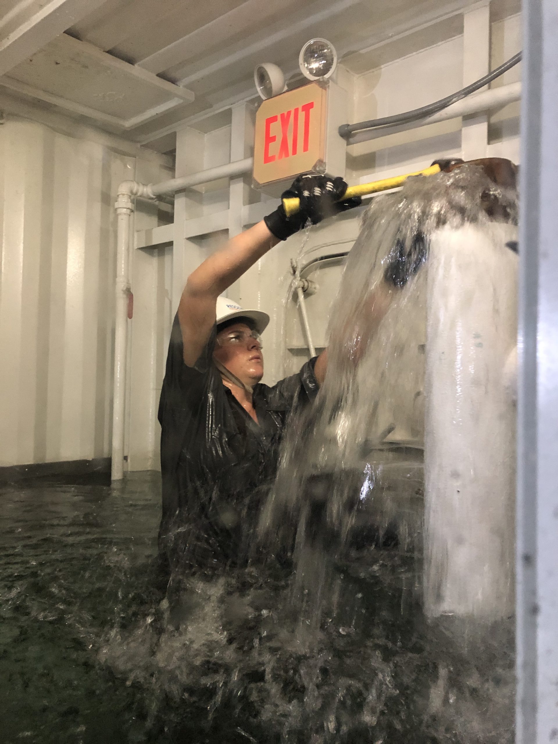 Navy Wet Trainer | Advanced Wet Trainer Facility | Resolve Academy